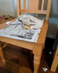 Why Does My Cat Shred Paper? Does It Matter? | Cat Behavior/Care