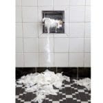 Why Does My Cat Shred Paper? Does It Matter? | Cat Behavior/Care