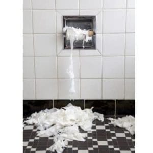 Why Does My Cat Shred Paper? Does It Matter? | Cat Behavior/Care