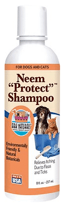 Using Neem Oil For Fleas On Cats