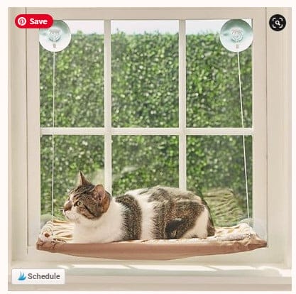 7 Amazing Cat Window Perches | Is That Your Cat
