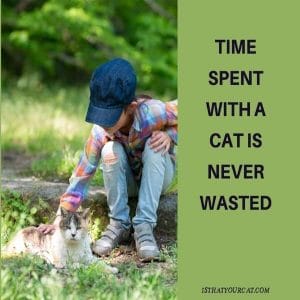 Favorite, Popular And Funny Cat Sayings With Photos | Fun