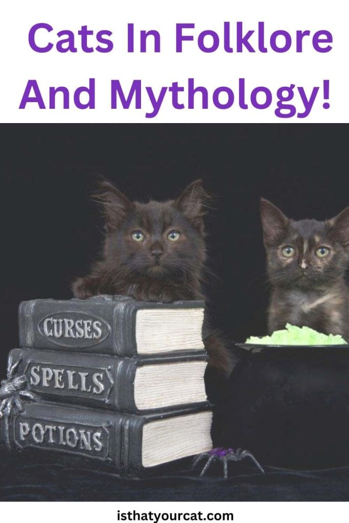 Cat Whiskers In Folklore And Mythology- Legends Unveiled