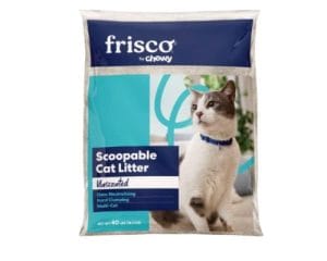 What Are The Best Cheap Cat Litters?