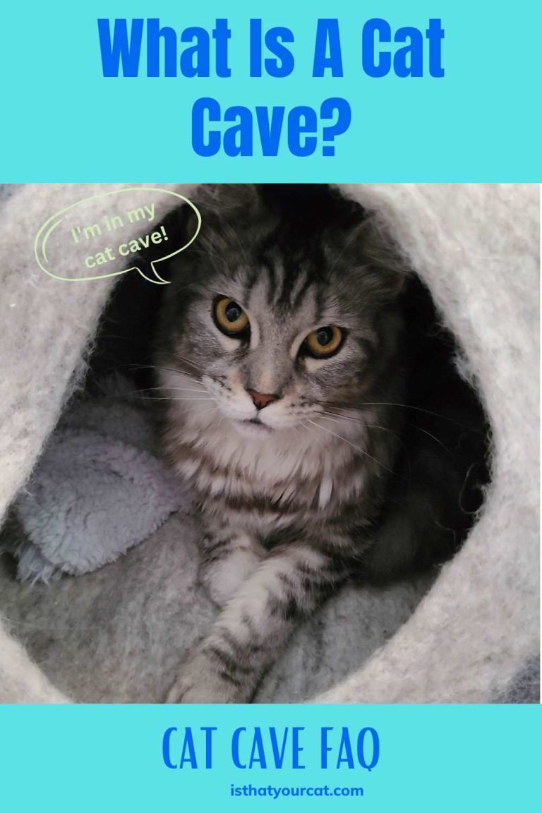 The Best Cat Caves Made In Nepal To Keep Your Kitty Cozy