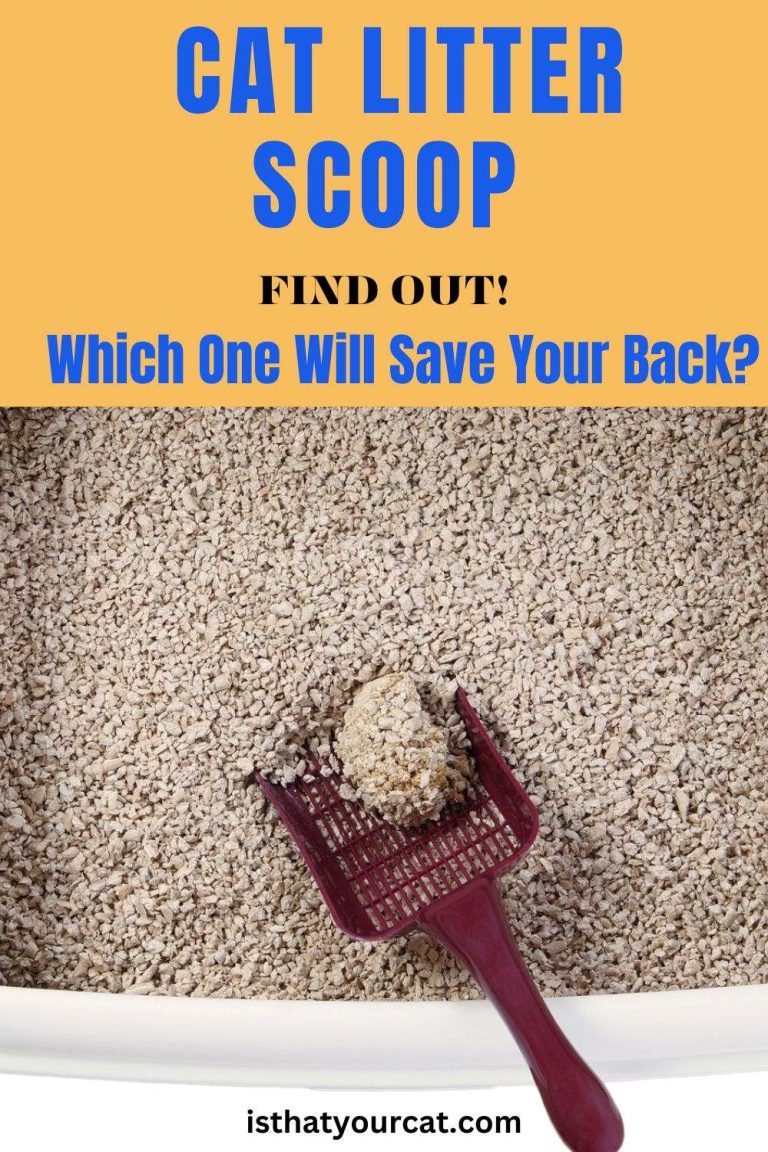 What Is The Best Litter Scoop For Scooping Cat Waste?