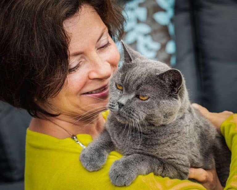 Ten Easy Ways Of Keeping An Elderly Cat Comfortable And Happy