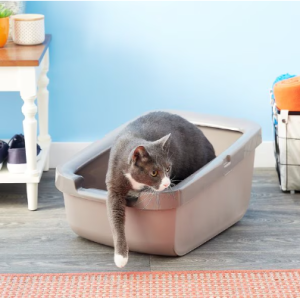 Uncovered Litter Box - Is It Okay To Use?