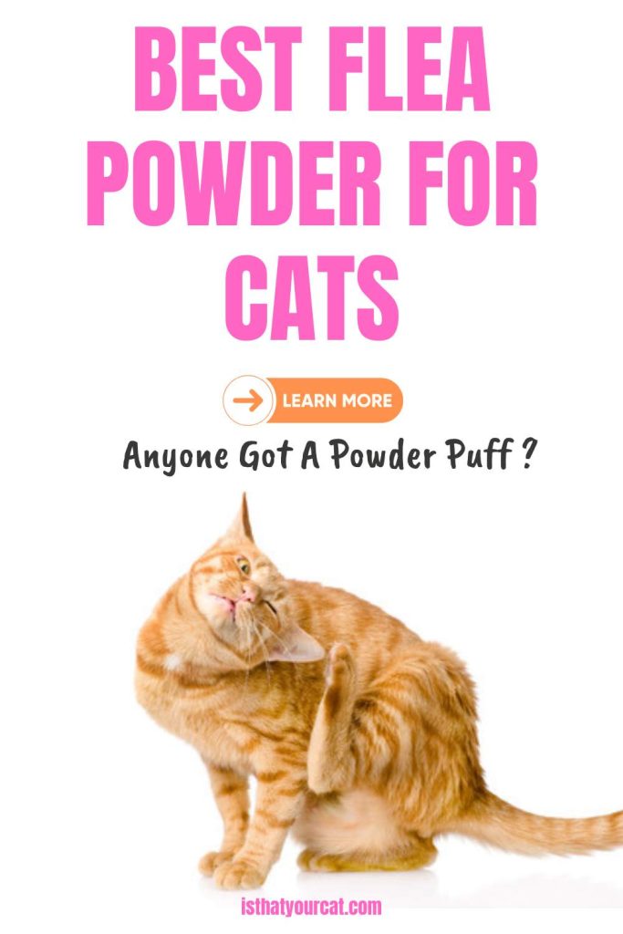 The Best Flea Powder For Cats