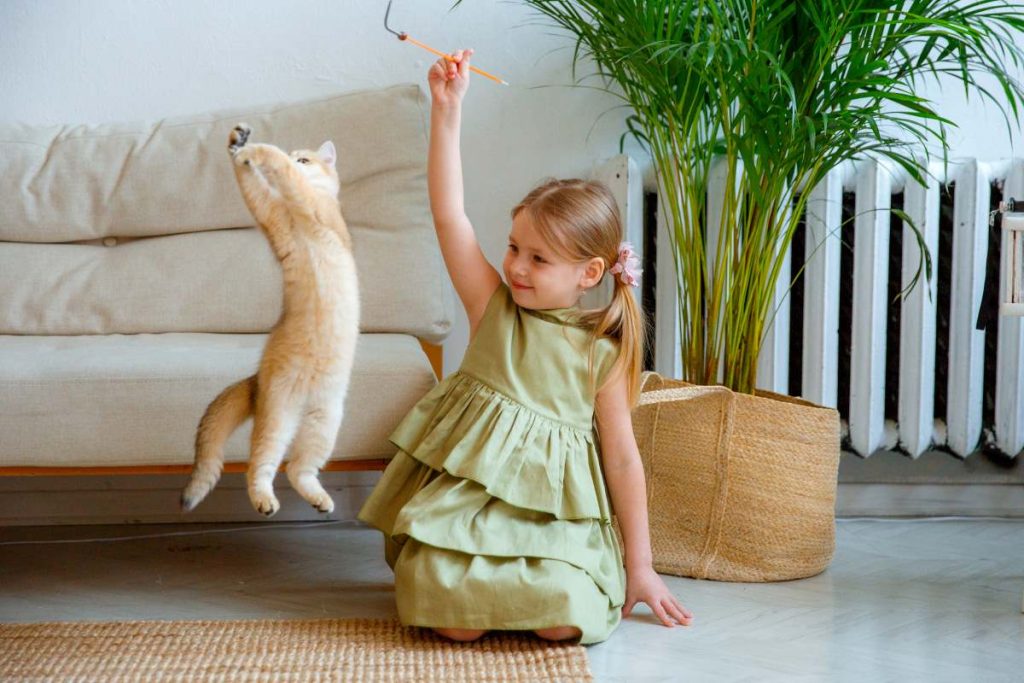 Ten Fun Games To Play With Your Cat
