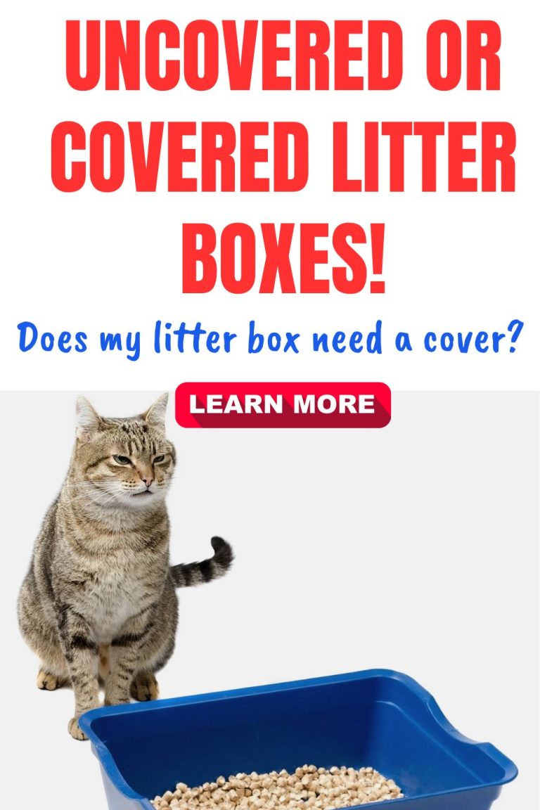 UnCovered Or Covered Litter Boxes? About Both Types.