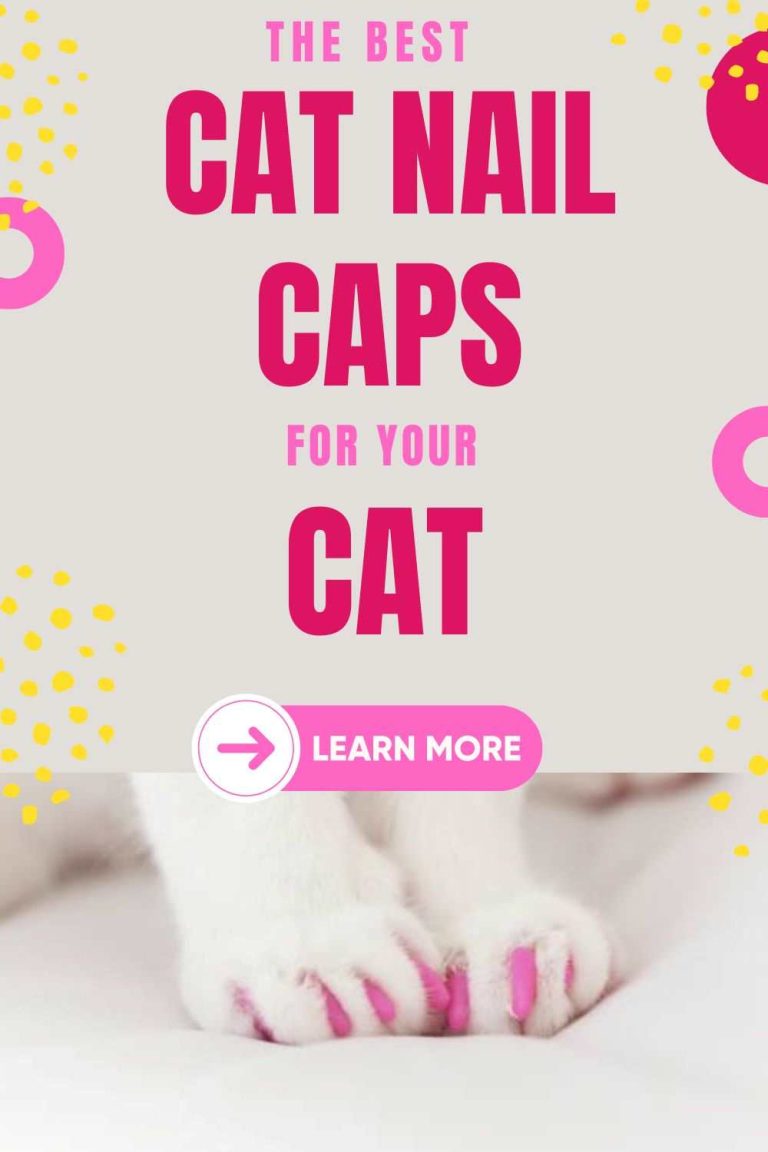 The Best Cat Nail Caps | Litter | Is That Your Cat