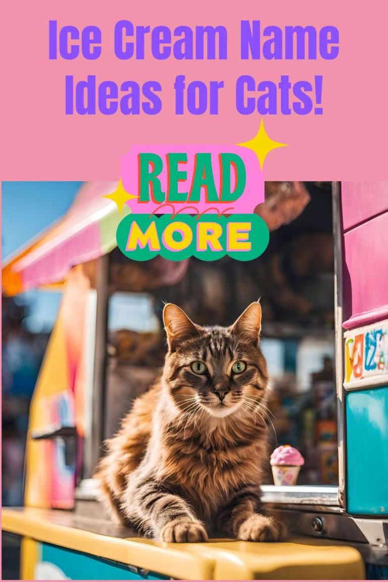 Ice Cream Themed Cat Names: Cool Ideas For Your Sweet Feline