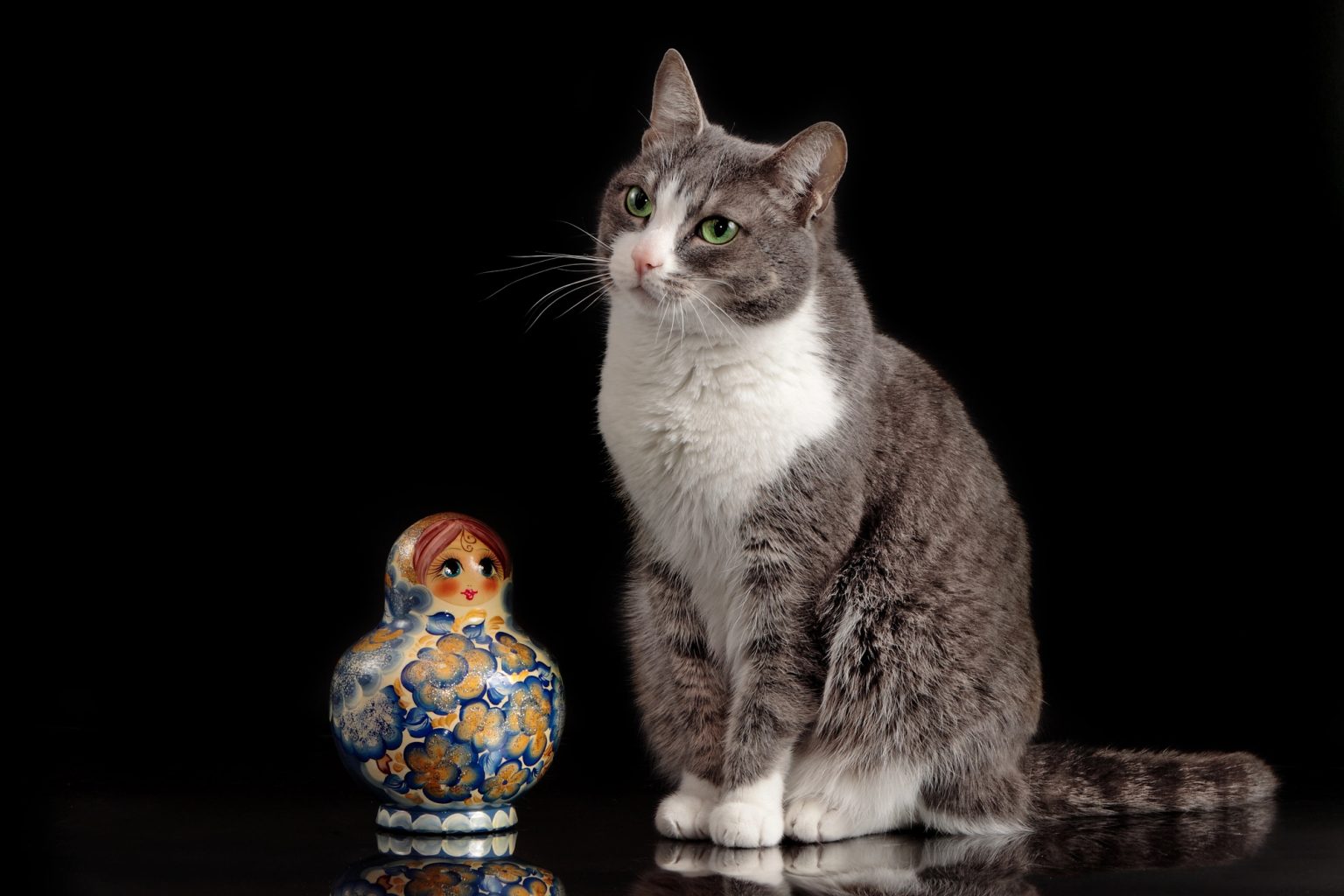 Russian Themed Cat Names