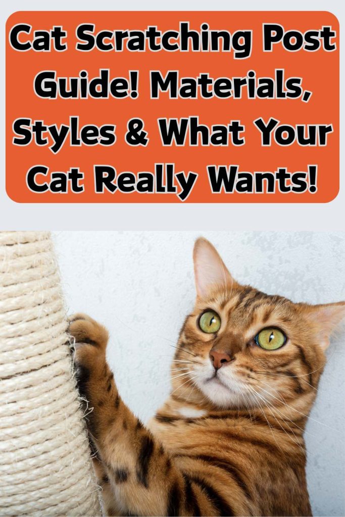 Cat Scratching Posts - 10 Cozy Options For Your Cat